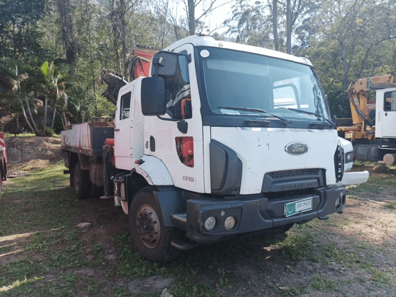 Leilão exclusivo de caminhões com cabines estendidas e Munck tem preços ...
